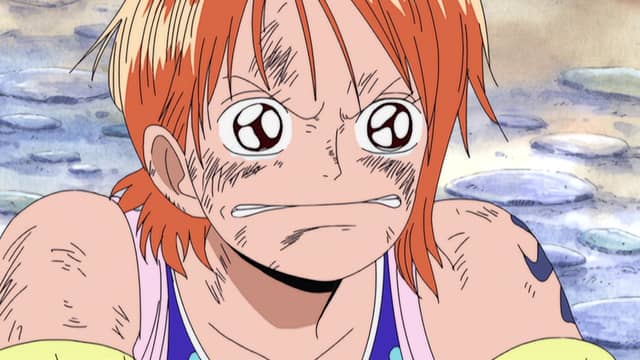 One Piece Special Edition (HD, Subtitled): Alabasta (62-135) I Will ...