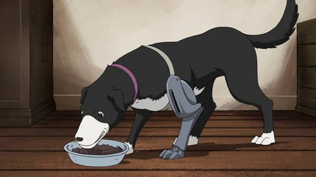 Fullmetal Alchemist: Brotherhood Road of Hope - Watch on Crunchyroll