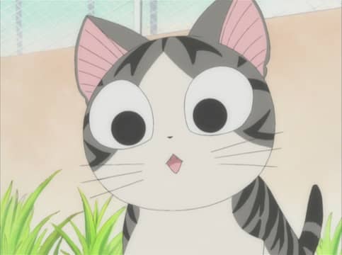 Chi's Sweet Home - Chi's New Address Season 4 Chi, is Mistaken. - Watch ...