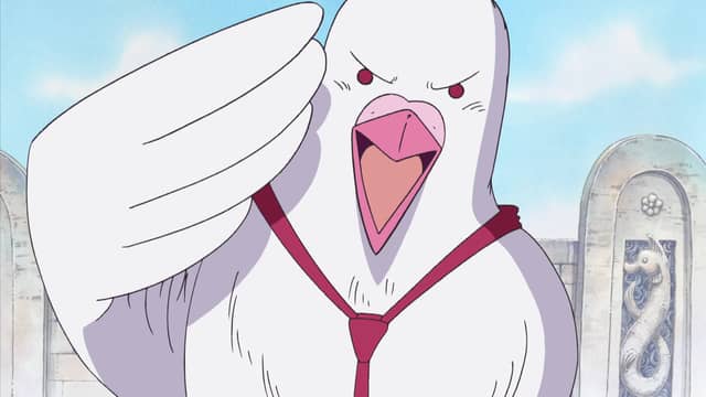 One Piece: Water 7 (207-325) Rescue Our Friends! a Bond Among Foes ...