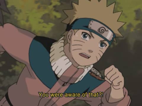 Naruto Season 6 A Battle of Bugs! The Deceivers and the Deceived ...