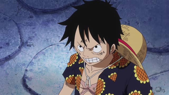 One Piece: Dressrosa (700-746) (English Dub) A Decisive Battle Against ...