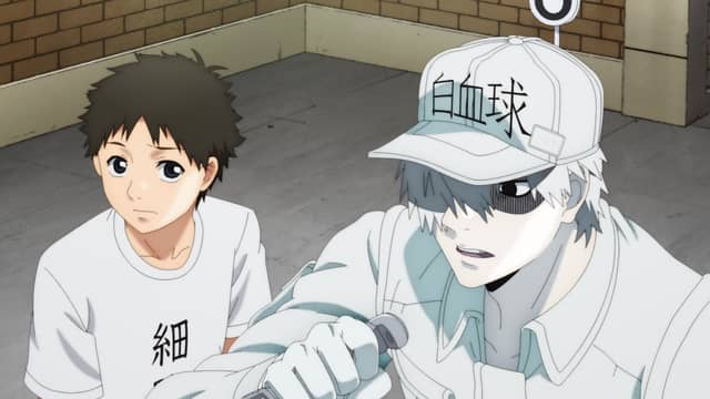 Cells at Work!! Citoquinas - Ver en Crunchyroll en español