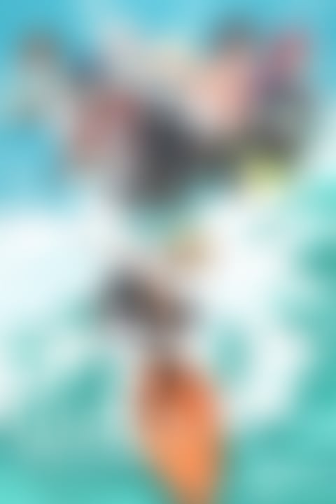 Watch Go Lion - Crunchyroll