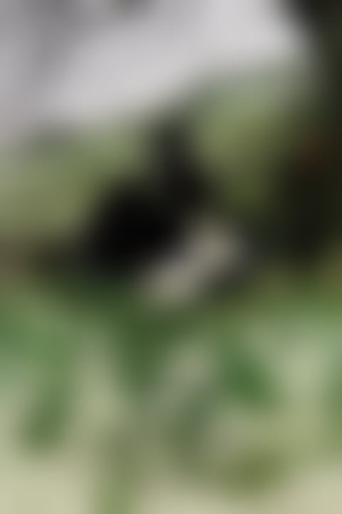 Watch Hell Girl: Two Mirrors - Crunchyroll