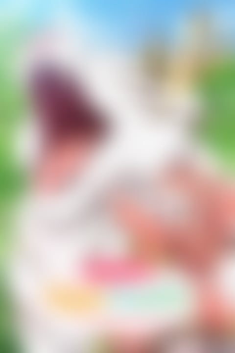 Watch Cinderella Chef - Crunchyroll
