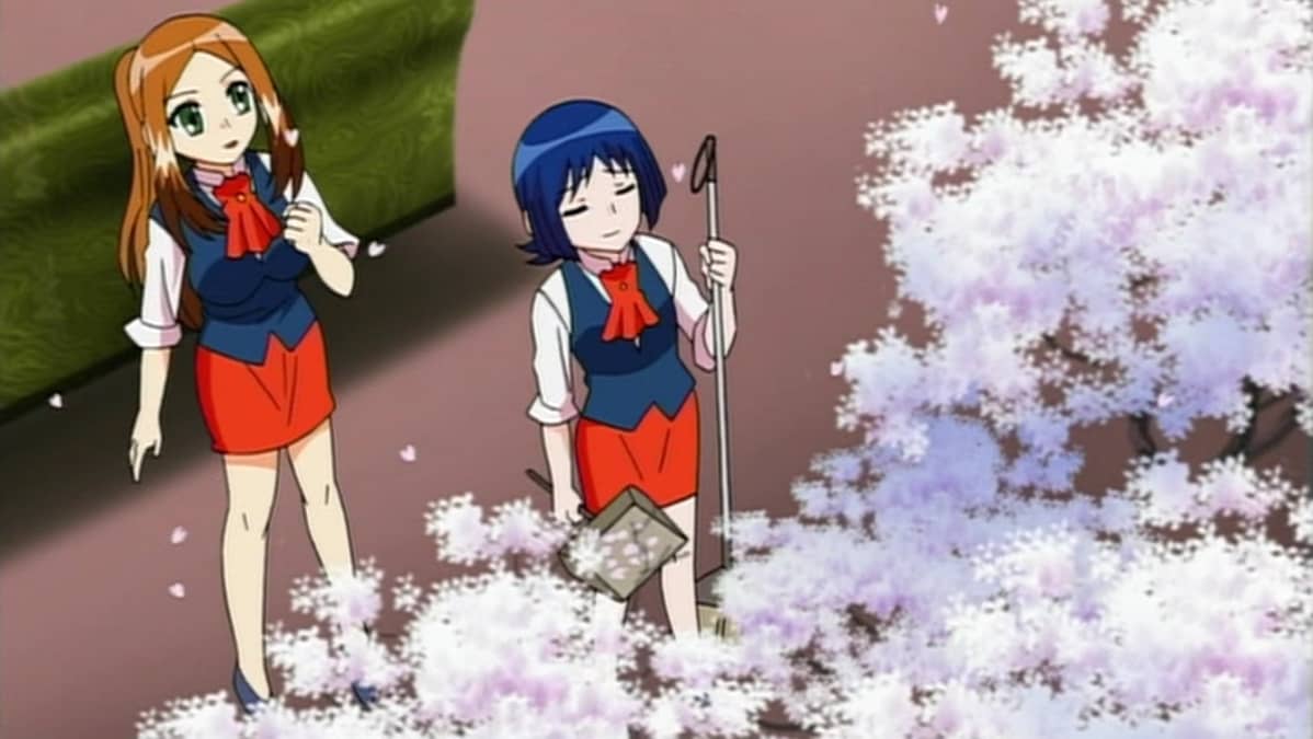 Hotel Sparrow ¡Ver las flores de cerezo es genial! - Ver en Crunchyroll ...