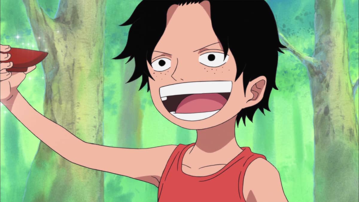 One Piece: Dressrosa (630-699) (English Dub) Dashing onto the Scene ...