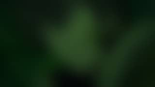 The Rising of the Shield Hero The Devil of the Shield - Watch on ...