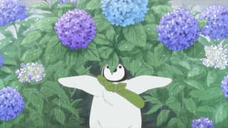 Welcome, Chitose Feather 3 - Watch on Crunchyroll