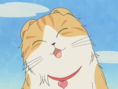 Chi's Sweet Home - Chi's New Address Season 1 Chi, Frolics About ...