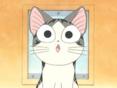 Watch Chi's Sweet Home - Chi's New Address - Crunchyroll