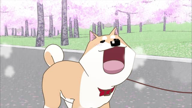 Lovely Muuuuuuuco! Muco und Fräulein Komatsu - Schau auf Crunchyroll