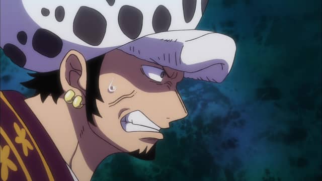 One Piece: Arco de Egghead ¡Un proyecto para disfrutar! Trafalgar Law ...