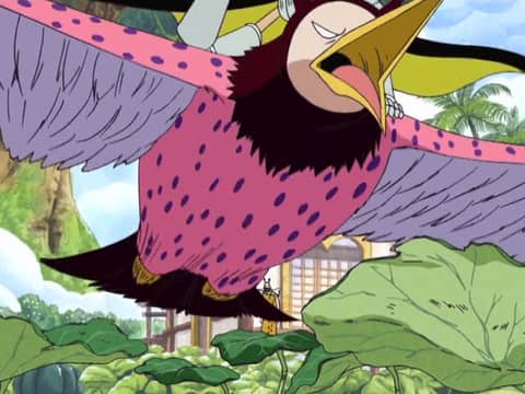 One Piece: Sky Island (136-206) (English Dub) Chopper in Danger! Former ...