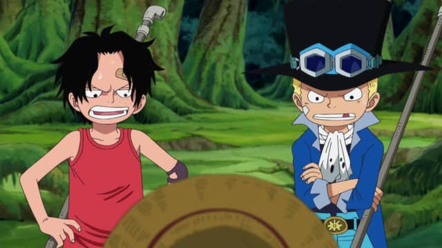 One Piece: Summit War (385-516) (English Dub) Here Comes Sabo! the Boy ...