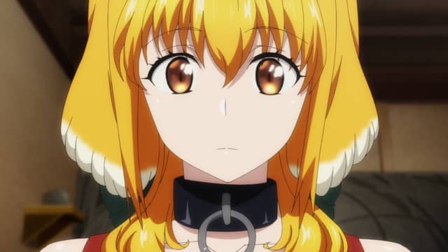 Harem in the Labyrinth of Another World - Broadcast Version Order ...