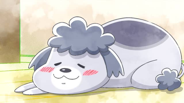 With a Dog AND a Cat, Every Day is Fun I Can't Be Careless - Watch on ...