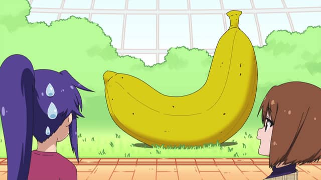 Teekyu 9 The Sound of Music With Senpai - Watch on Crunchyroll